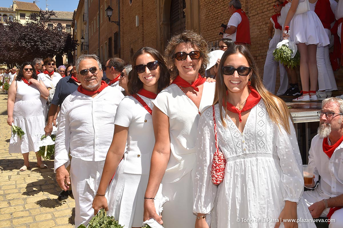 Procesión de Santa Ana en Tudela 2025 con Gigantes, música y danzas ...